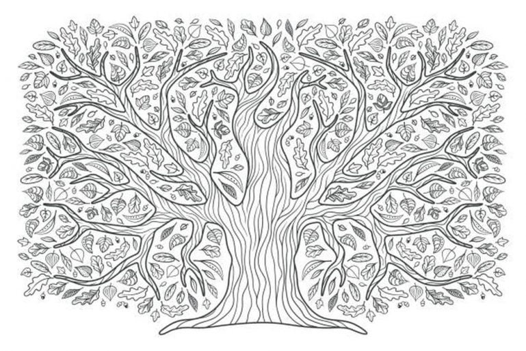 Medžiai spalvinimui🌳 – PEPE.LT