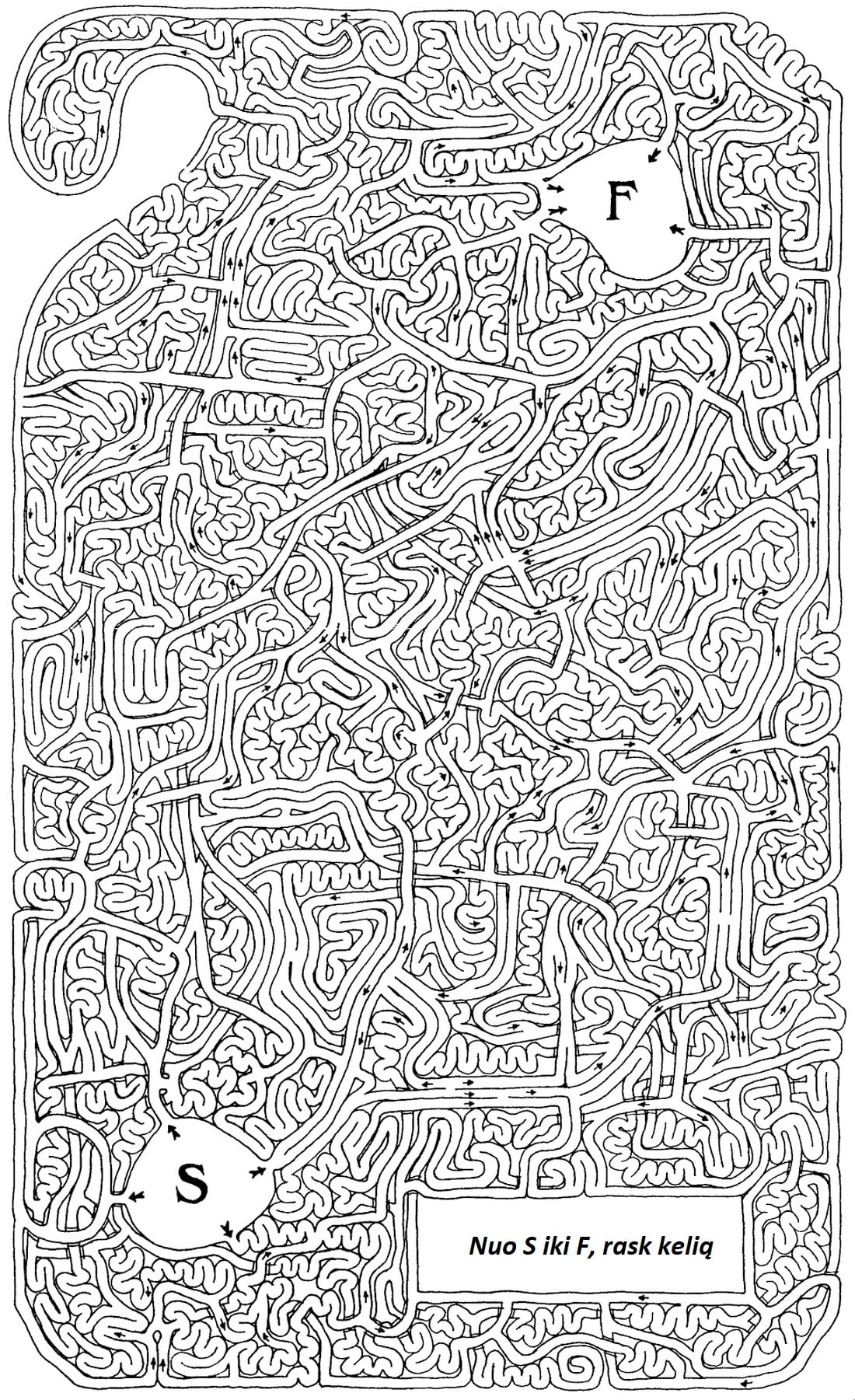 Labyrintit lapsille 🌀 – PEPE.LT