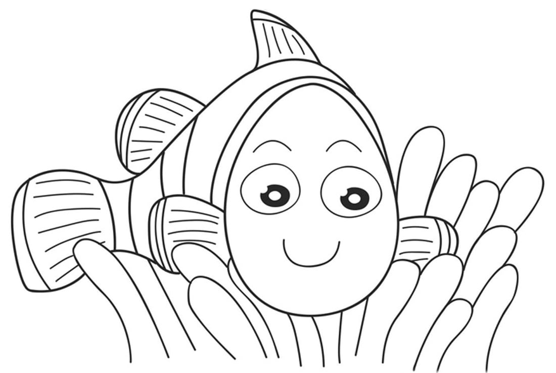 Nemo riba bojanka 🐟 - PEPE