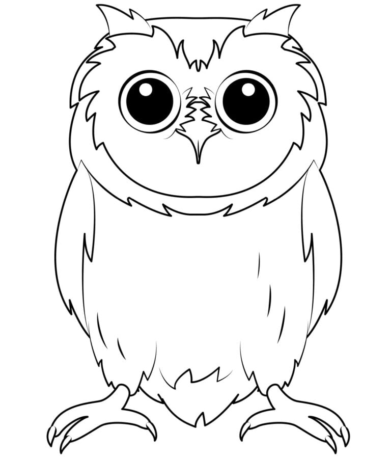 Ptice Bojanka 🦜 Pepe