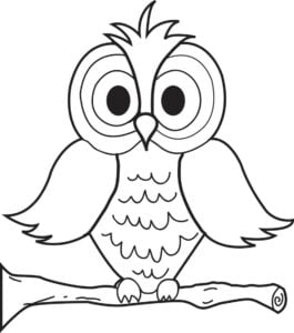 Ptice bojanka 🦜 – PEPE