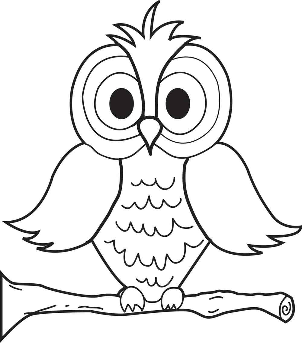 Ptice bojanka 🦜 – PEPE