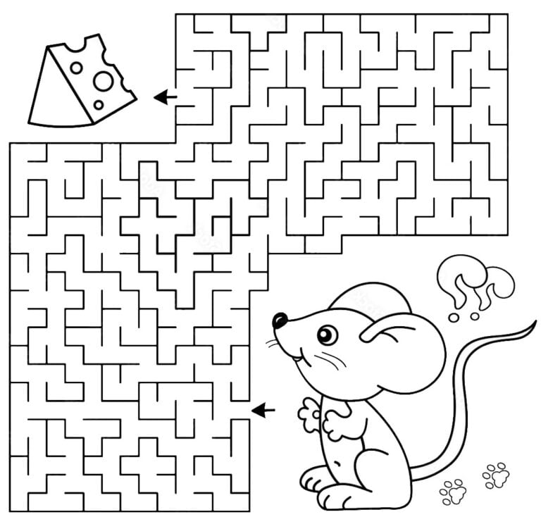 Labirintai vaikams 🌀 – PEPE.LT