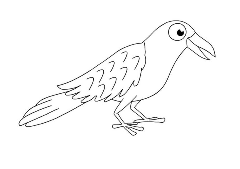 Ptice bojanka 🦜 – PEPE