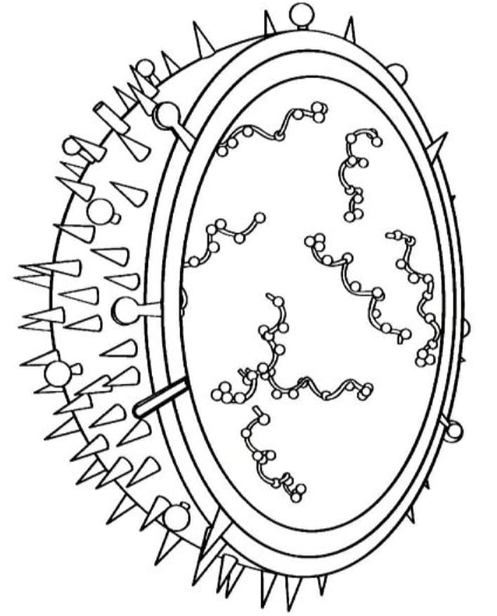 Microbi și bacterii desene de colorat 🪱 - PEPE.LT